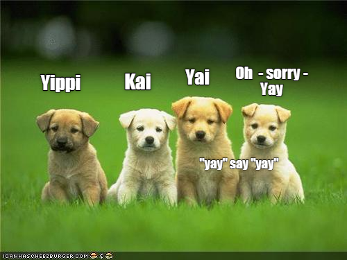 YAY - Lolcats - lol | cat memes | funny cats | funny cat pictures with ...