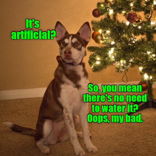 Just tryin' to help - I Has A Hotdog - Dog Pictures - Funny pictures of ...