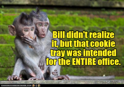 Don't get between him and a cookie tray - Animal Comedy - Animal Comedy ...