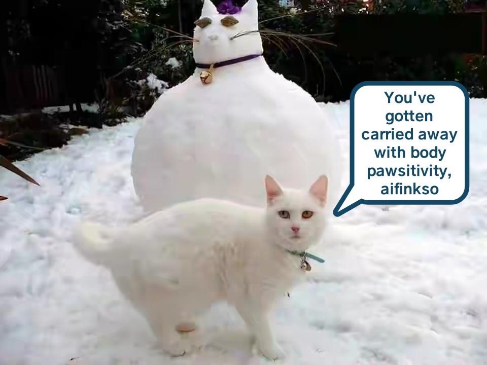 Thanks for the support...I think - Lolcats - lol | cat memes | funny ...