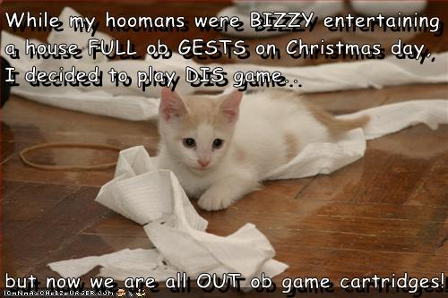 Game over - Lolcats - lol | cat memes | funny cats | funny cat pictures ...