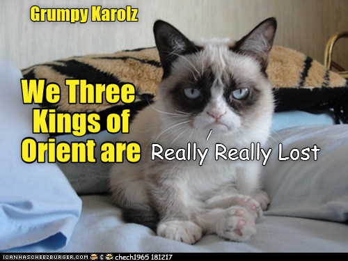 Grumpy Karolz - Lolcats - lol | cat memes | funny cats | funny cat pictures with words on them ...
