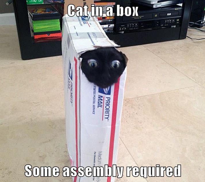 Some assembly required - Lolcats - lol | cat memes | funny cats | funny ...