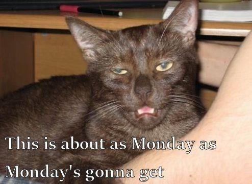 If it's Tuesday, why does it feel like a Monday with a hangover ...