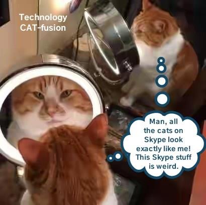 Technology CAT-fusion - Lolcats - lol | cat memes | funny cats | funny ...