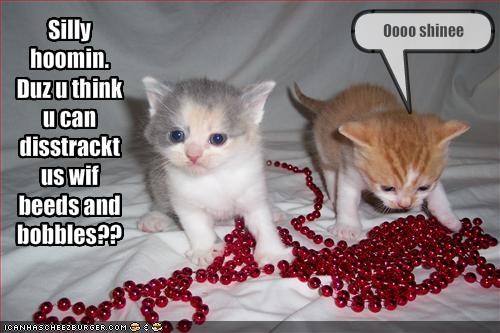 Lolcats - lol | cat memes | funny cats | funny cat pictures with words ...