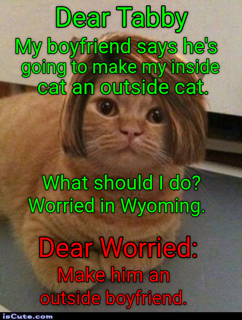 A letter to Dear Tabby - Lolcats - lol | cat memes | funny cats | funny ...