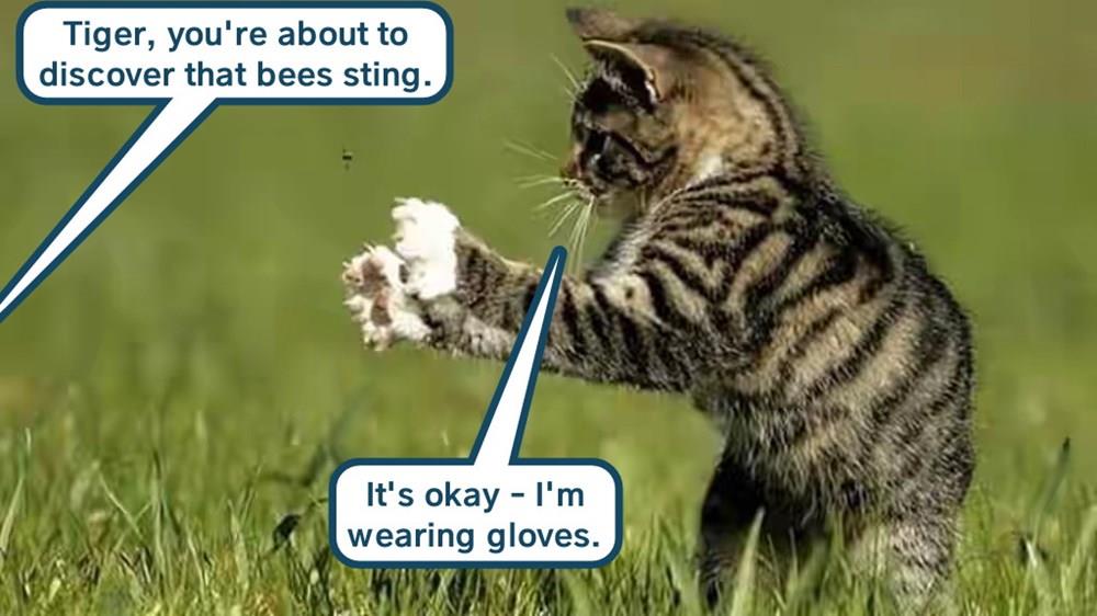 Natural protection - Lolcats - lol | cat memes | funny cats | funny cat ...