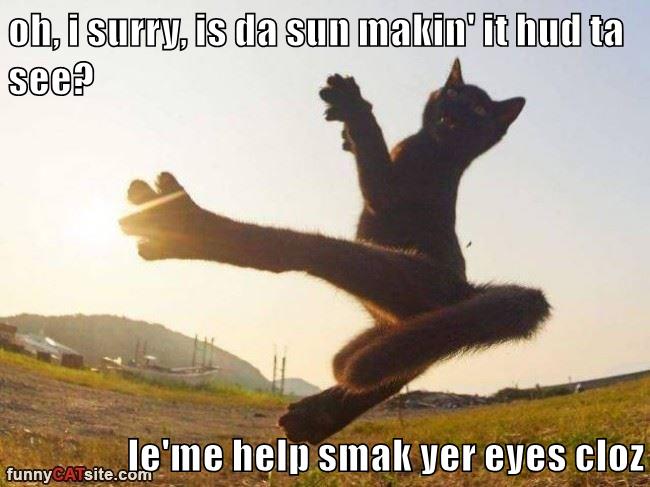 oh, i surry, is da sun makin' it hud ta see? le'me help smak yer eyes ...