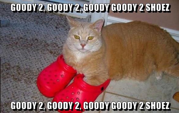 GOODY 2, GOODY 2, GOODY GOODY 2 SHOEZ - Lolcats - lol | cat memes ...