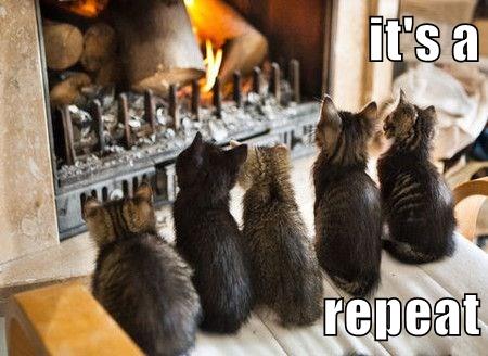 it's a repeat - Lolcats - lol | cat memes | funny cats | funny cat ...