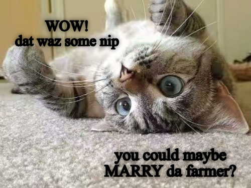 Compliments to da farmer - Lolcats - lol | cat memes | funny cats ...