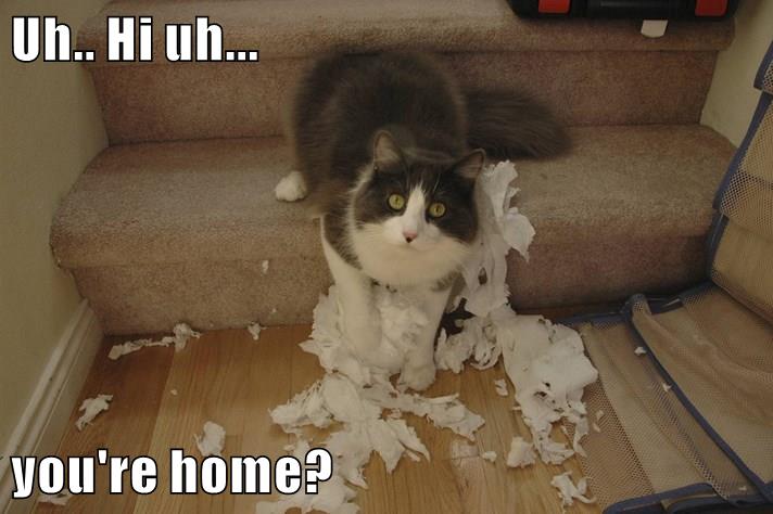 Uh.. Hi uh... - Lolcats - lol | cat memes | funny cats | funny cat ...