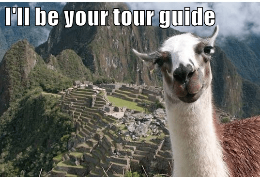 I'll be your tour guide - Animal Comedy - Animal Comedy, funny animals ...