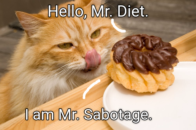 Let me introduce myself. - Lolcats - lol | cat memes | funny cats ...