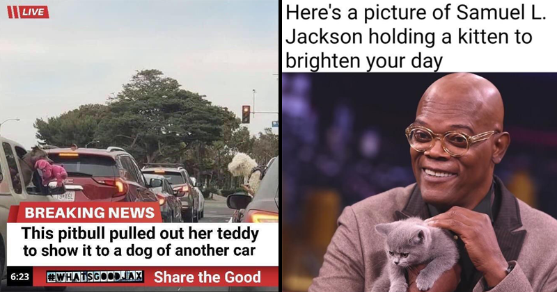 Memebase - Samuel L Jackson - All Your Memes In Our Base - Funny Memes ...