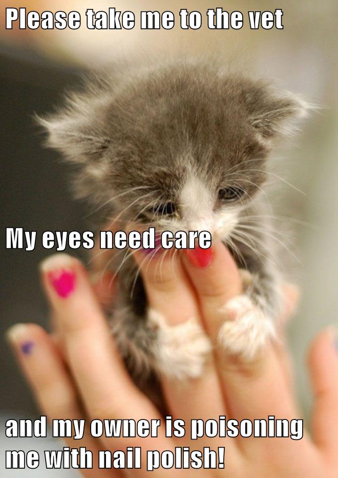 Please take me to the vet My eyes need care and my owner is poisoning ...