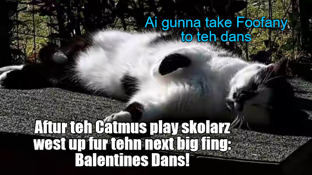 Valentines Dance 2018 - Lolcats - lol | cat memes | funny cats | funny ...