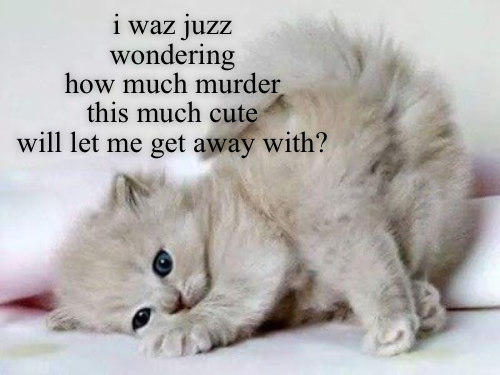 purry calculation - Lolcats - lol | cat memes | funny cats | funny cat ...