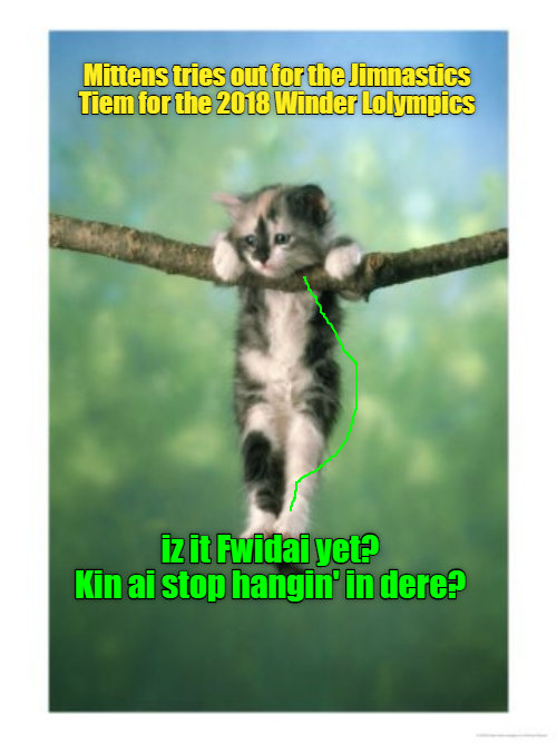 Some KKPS skolars nawt ready for competition yet - Lolcats - lol | cat ...