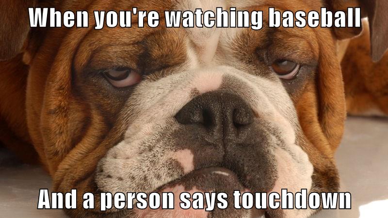 Baseball - I Has A Hotdog - Dog Pictures - Funny pictures of dogs - Dog ...