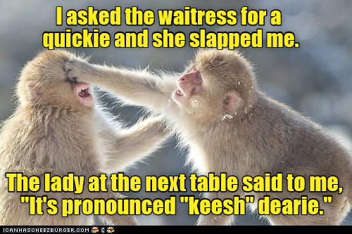 How about a quiche? - Animal Comedy - Animal Comedy, funny animals ...