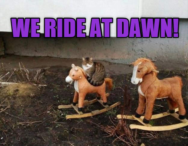WE RIDE AT DAWN! - Lolcats - lol | cat memes | funny cats | funny cat ...