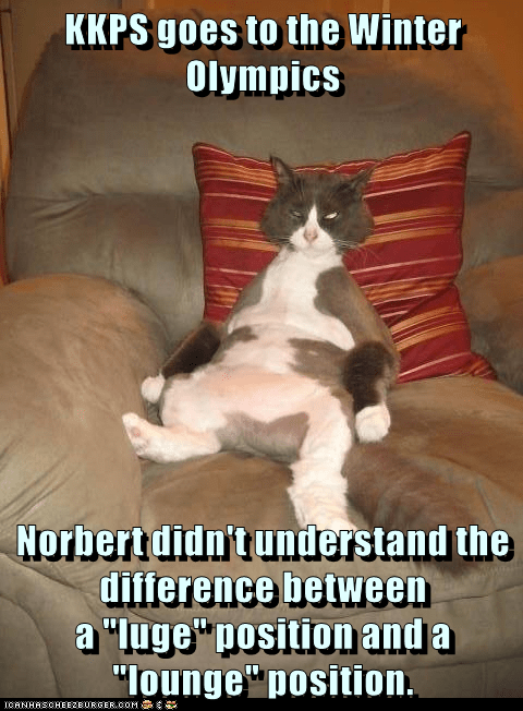 KKPS goes to the Winter Olympics - Lolcats - lol | cat memes | funny ...