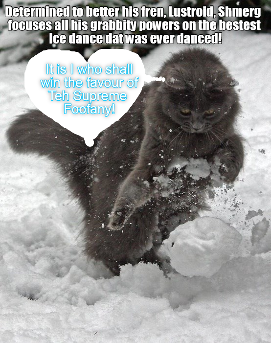 Winter Seol Lolympics Ice Dance. KKPS Competitor Shmerg - Lolcats - lol ...