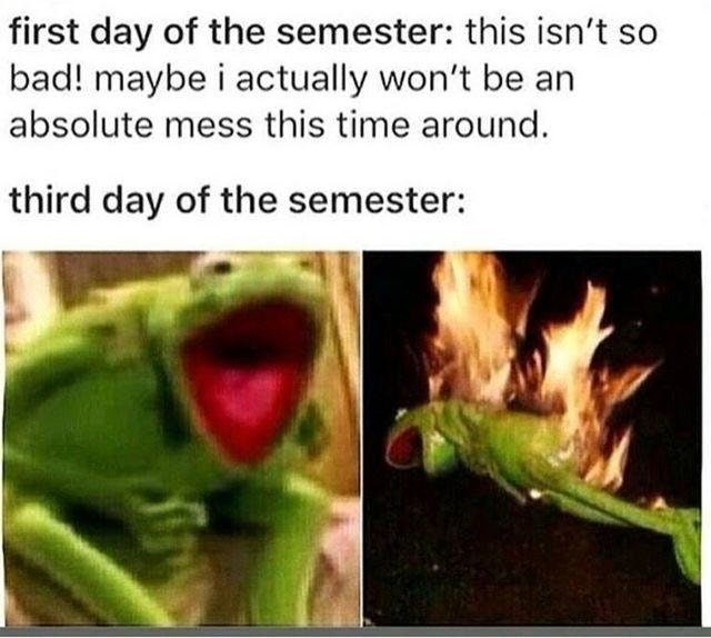 Welcome Back Meme