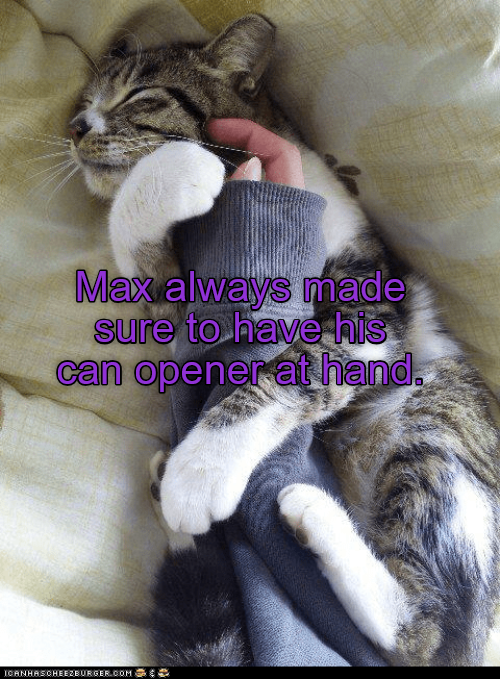 In case of sudden snack attacks - Lolcats - lol | cat memes | funny ...