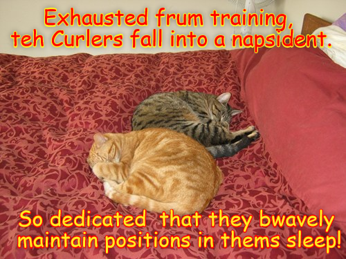 Winter Lolympics 2018: Kiwilandia's Curling Team Training Kamp ...