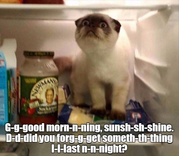 Chilly kitty also sarcastic... - Lolcats - lol | cat memes | funny cats ...