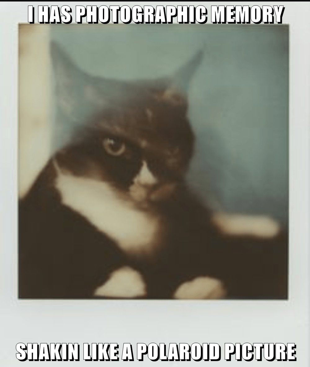 PHOTOGRAPHIC MEMORY - Lolcats - lol | cat memes | funny cats | funny ...