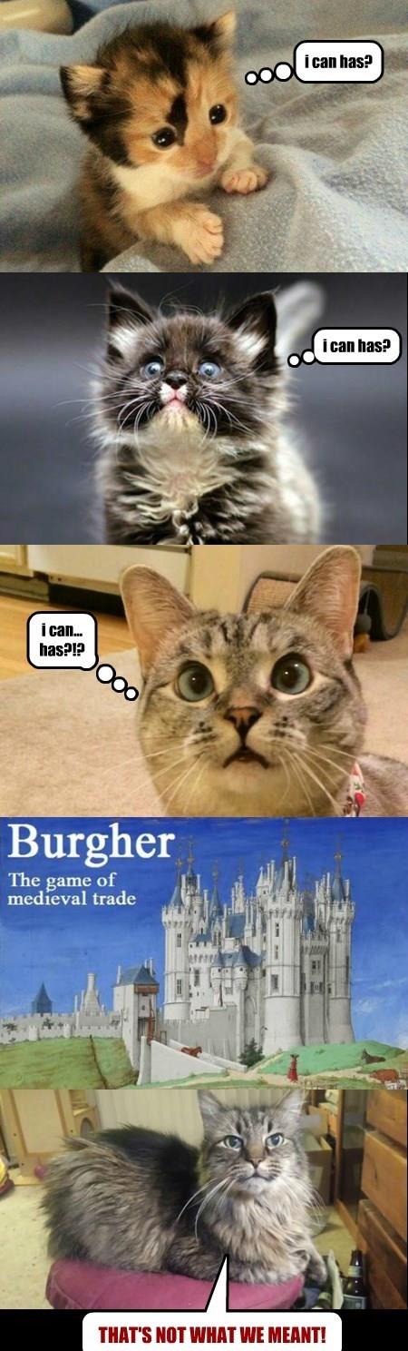 Bait & Switch - Lolcats - lol | cat memes | funny cats | funny cat ...