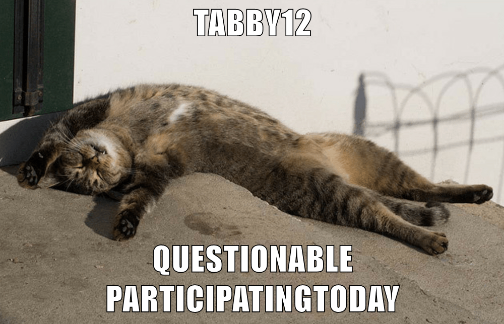 QUESTIONABLE PARTICIPATINGTODAY - Lolcats - lol | cat memes | funny ...