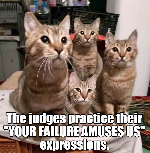 Team KSO Winter Olympics 2018 - Lolcats - lol | cat memes | funny cats ...