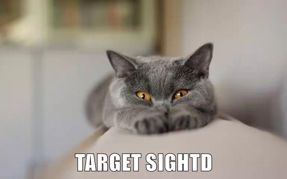 TARGET SIGHTD - Lolcats - lol | cat memes | funny cats | funny cat ...
