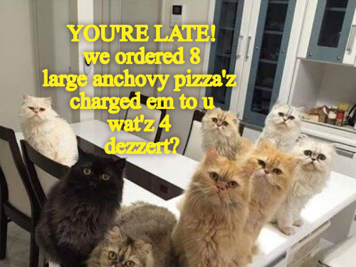 Kittehz: highly self-sufficient when necessary - Lolcats - lol | cat ...