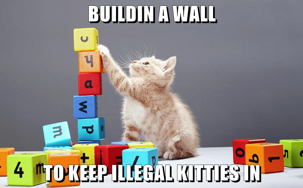 BUILDIN A WALL - Lolcats - lol | cat memes | funny cats | funny cat ...