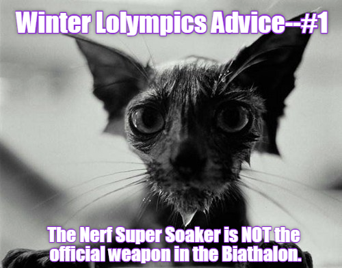 And your fellow competitors are NOT the target! - Lolcats - lol | cat ...