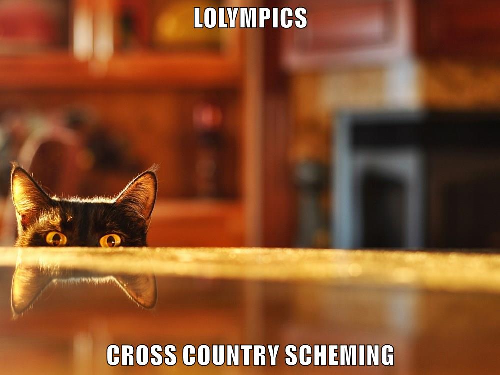 LOLYMPICS CROSS COUNTRY SCHEMING - Lolcats - lol | cat memes | funny ...