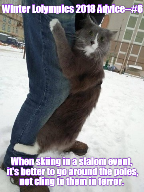 There's HOW MANY of these poles?!? - Lolcats - lol | cat memes | funny ...