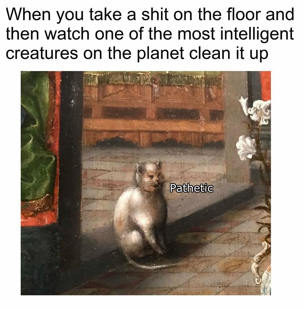 They're Not Wrong - Memebase - Funny Memes