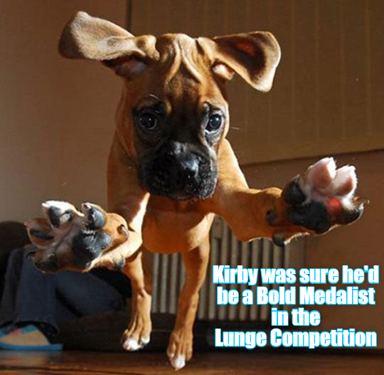 KKPS at the 2018 LoLympics - I Has A Hotdog - Dog Pictures - Funny ...