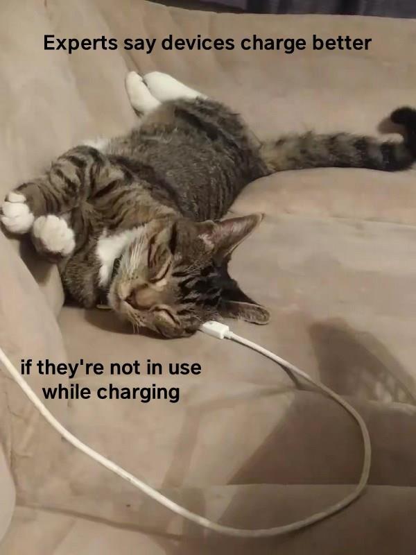 Optimal charging - Lolcats - lol | cat memes | funny cats | funny cat ...