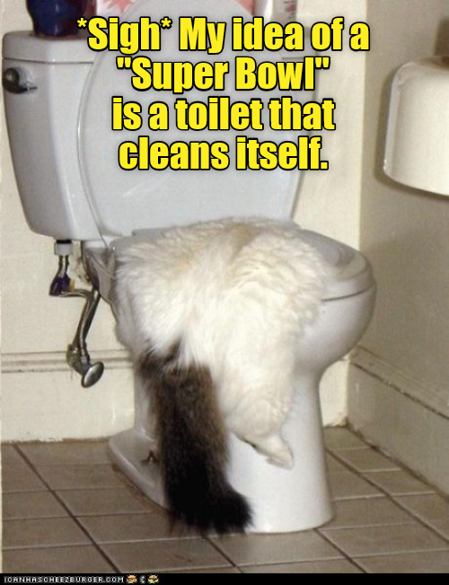 Don't you just hate that task? - Lolcats - lol | cat memes | funny cats ...
