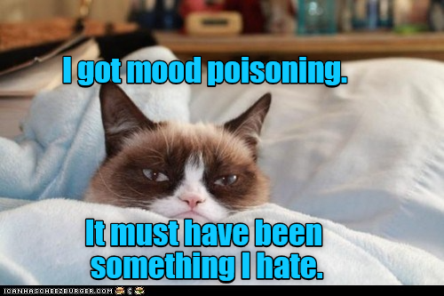 I really hate that. - Lolcats - lol | cat memes | funny cats | funny ...
