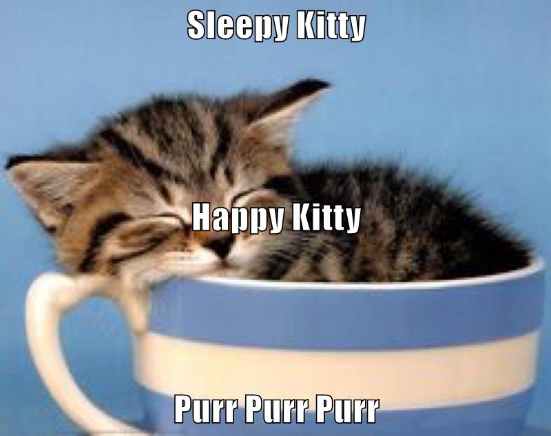 Sleepy Kitty Happy Kitty Purr Purr Purr - Lolcats - lol | cat memes ...
