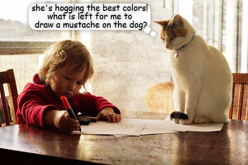 Pink? Lime green? - Lolcats - lol | cat memes | funny cats | funny cat ...